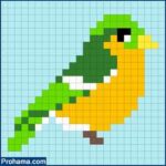 ProHama | Birds Pixel Art Grids